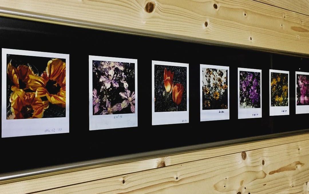 Polaroid Art SX-70 Image Manipulation